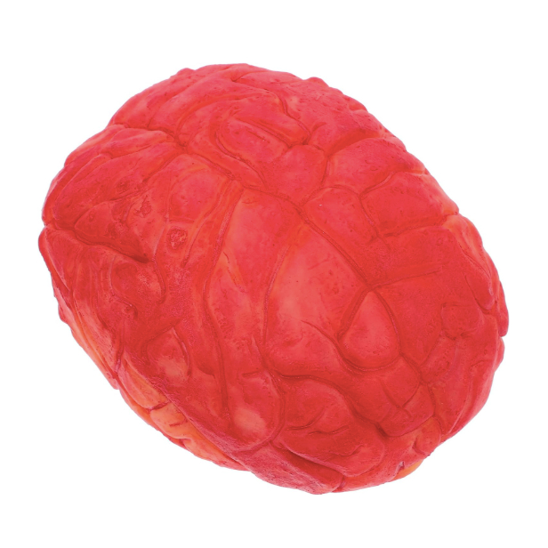 Fake Scary Human Brain Halloween Decoration Prop Rubber Horror Haunted ...