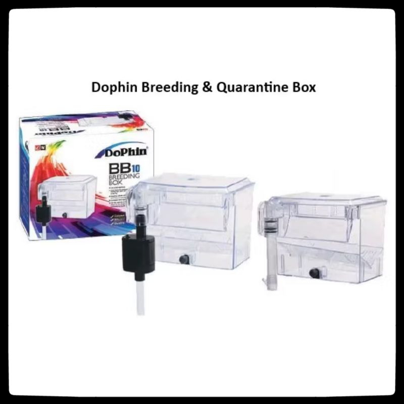Dophin Aquarium Fish Breeding Box Quarantine Box Isolation Box Bacteria ...