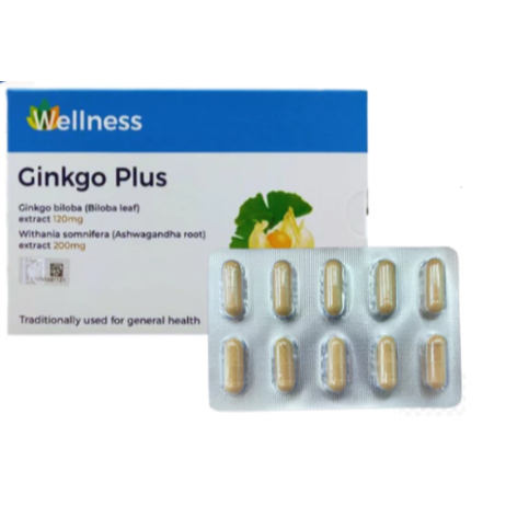 WELLNESS GINKGO PLUS 10S [EXP : 07/2025] for blood circulation ...