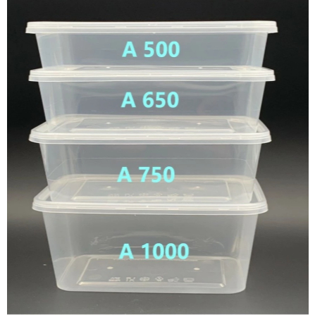 250pcs (1 Box) Disposable Plastic Food Container | Rectangular ...