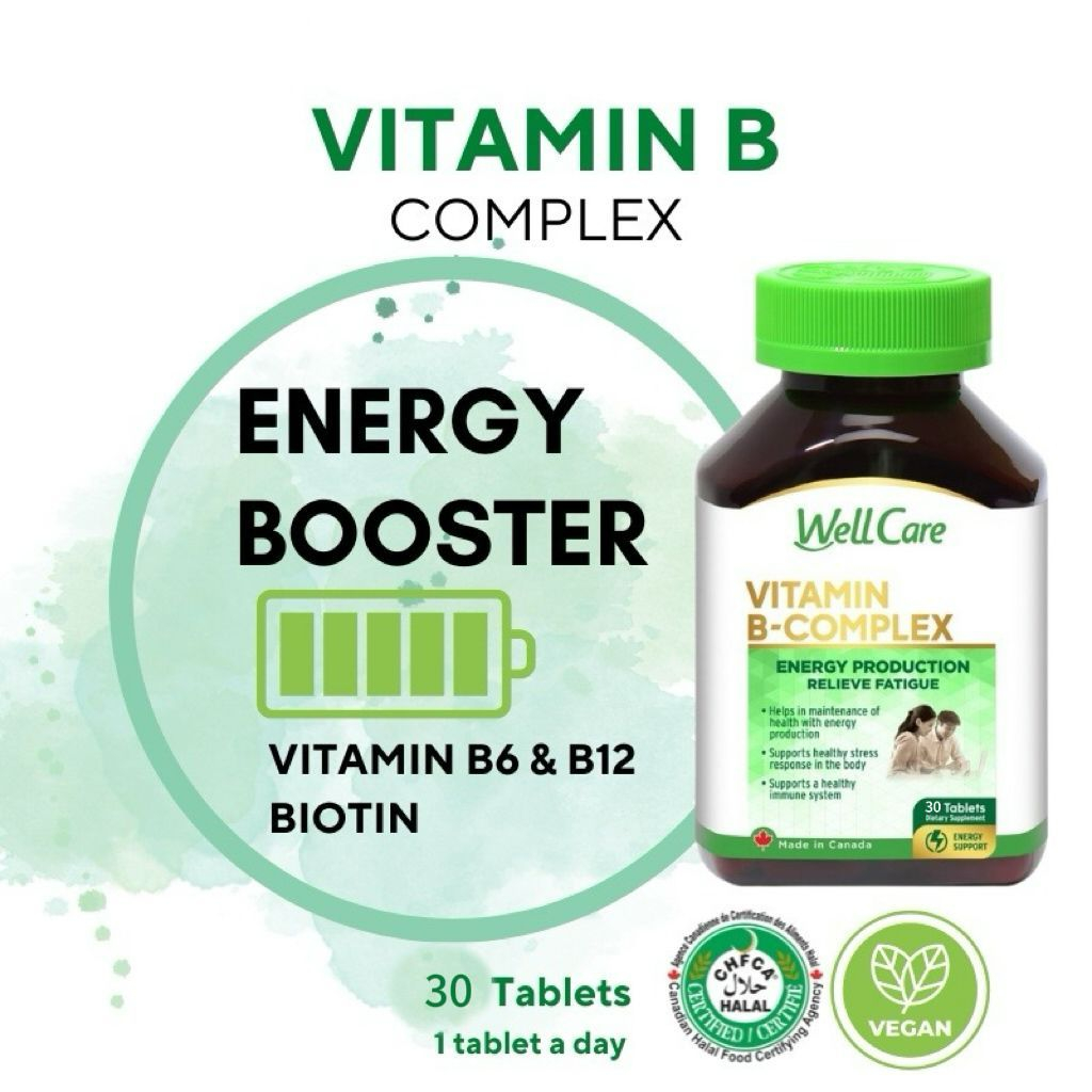WELLCARE Vitamin B Complex - 30's ( Relieve General Tiredness ...