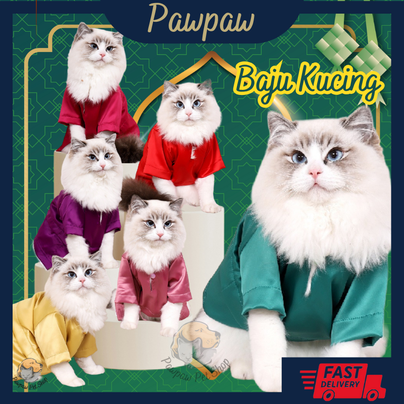 Pawpawshoes Cat Clothes Shirt Raya Cat Baju Melayu Kurung for Male ...
