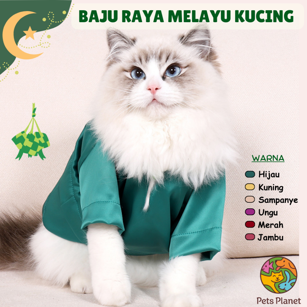 Baju Raya Melayu Kucing | Baju Kurung Baju Melayu | Cat Cute Shirt ...