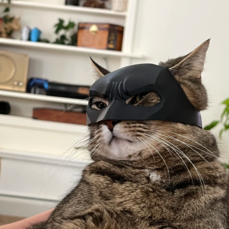 Batman Cat Mask 3D print | Shopee Singapore