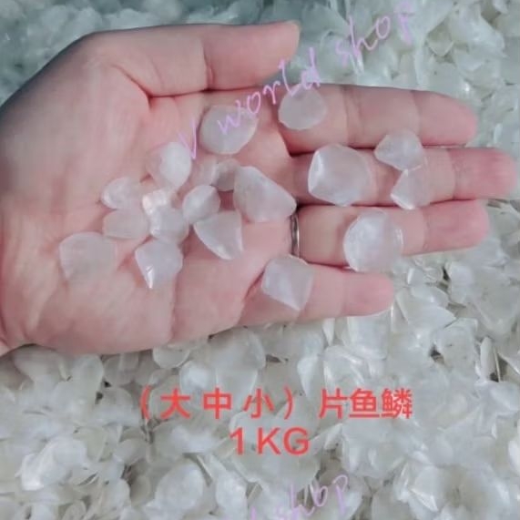 Fish scale 1kg Clean Hygienic Natural No Added Preservatives Fish scale ...