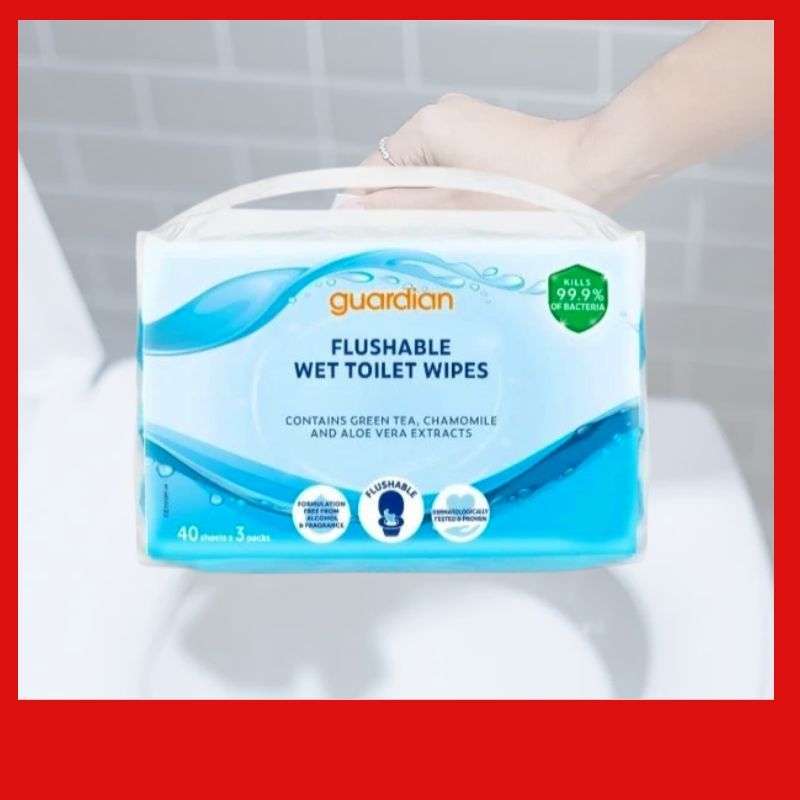Guardian Flushable Wet Toilet Wipes 40's | Shopee Singapore