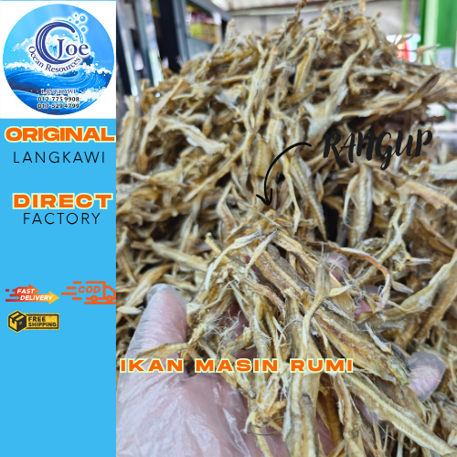 Joe Ocean Resources Ikan Masin Rumi Lumi Kering ( 100g / 150g / 200g ...