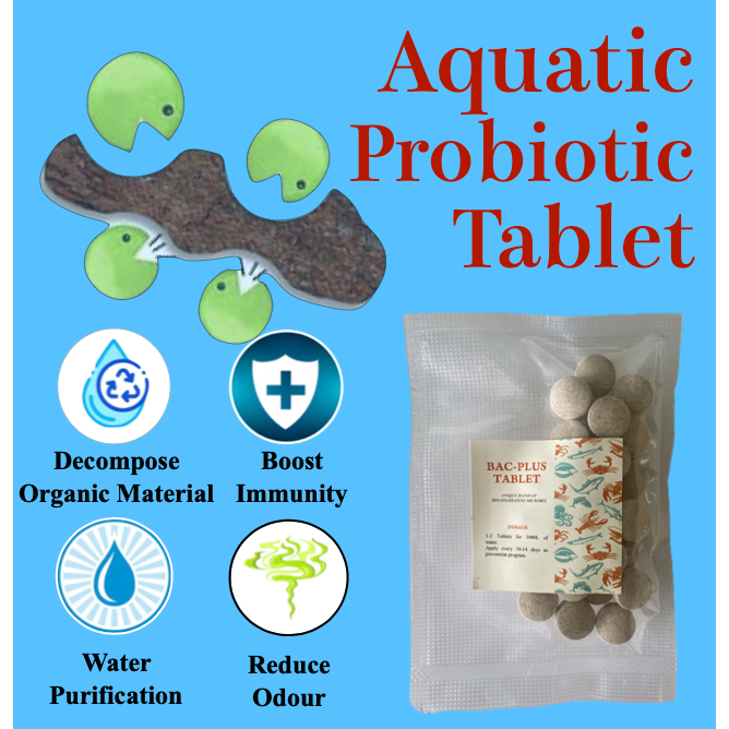 Aquarium Bacteria Kenko Probiotic Tablet 1kg 水族浓缩益生菌 | Shopee Singapore