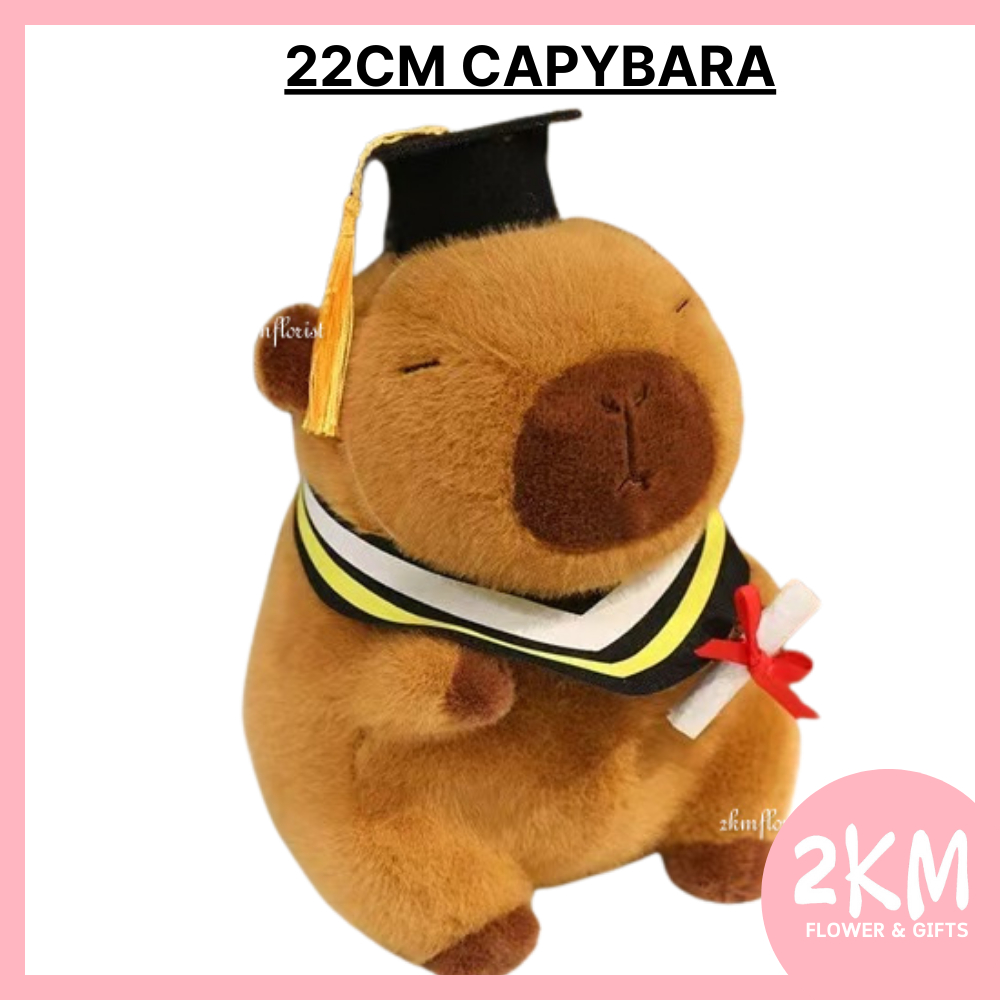 22CM CAPYBARA GRADUATION BEAR Plush Toy Cute Capibara Plushie Toy Anak ...