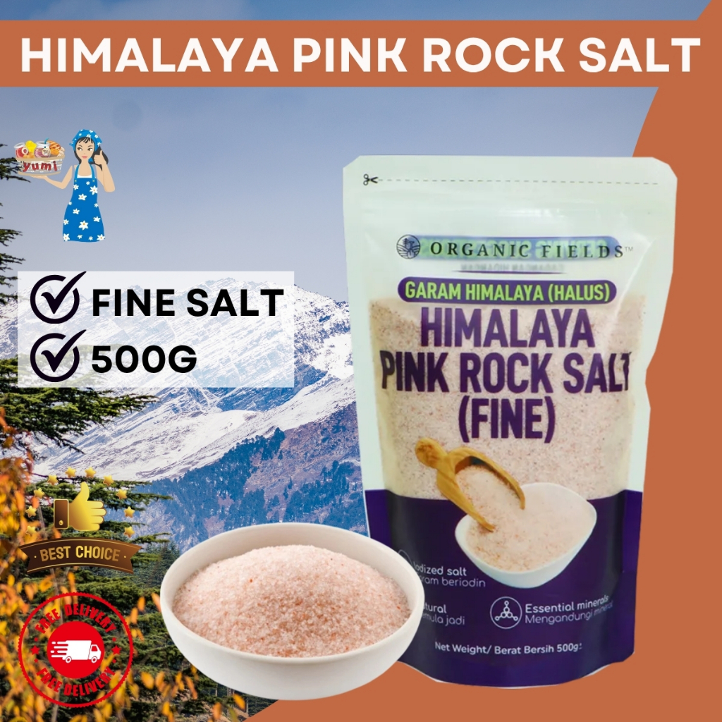 HIMALAYA PINK ROCK SALT (FINE SALT) - 500G | Shopee Singapore