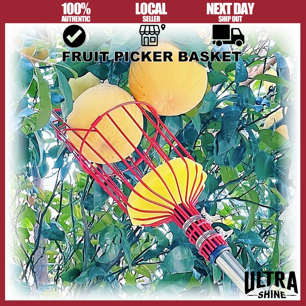 [MY] Fruit Picker Net Basket Fruit Picking Tool Garden Tools Plucking ...