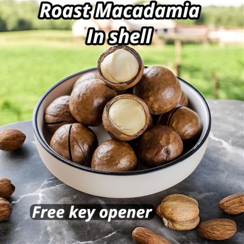 500g (BUTTER FLAVOUR) MACADAMIA IN SHELL ROASTED UNSALTED FROM (FREE ...