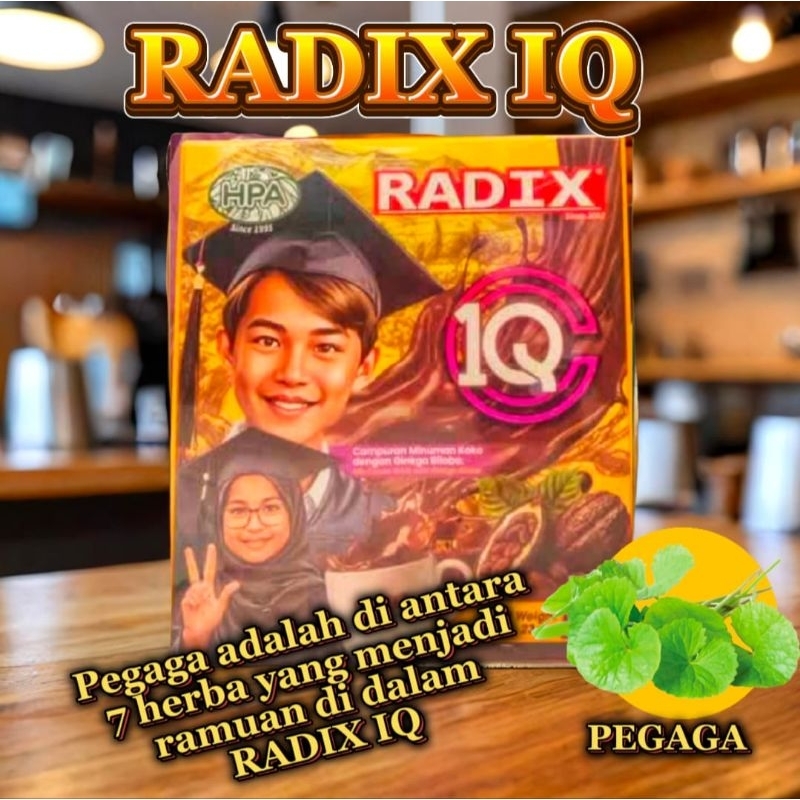 Radix IQ KOKO HPA DRINK FOR MINDA INTELLIGENCE 1 SACHET 23g ×10 SACHET ...