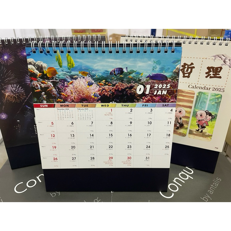 NEW YEAR 2025 Table Desktop Calendar Flip Calendar With Different ...