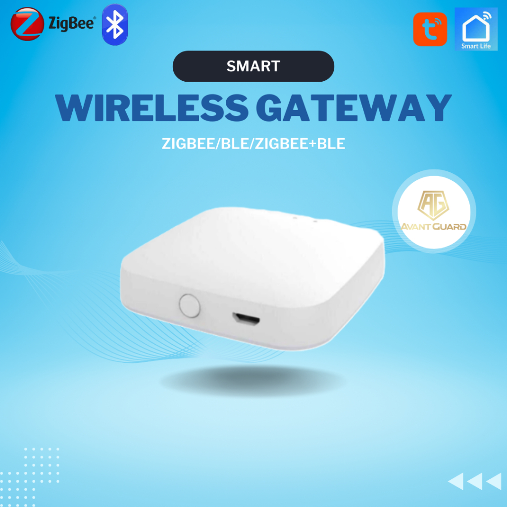 Avant Guard Wireless Gateway – BLE / Zigbee / Zigbee+BLE | Travel-Ready ...