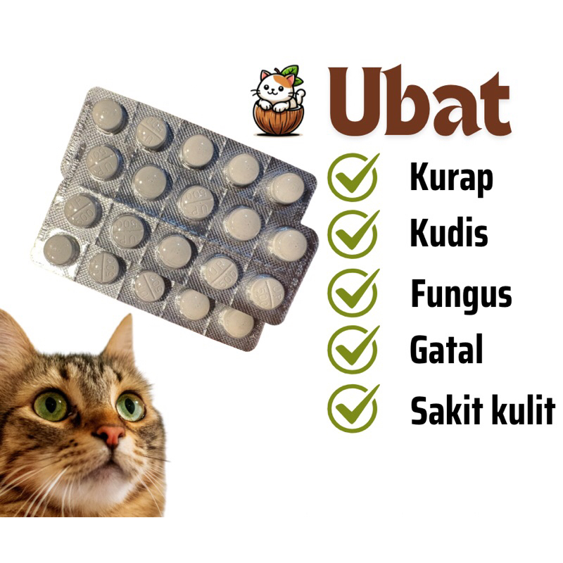 RINGWORM FUNGUS RINGWORM MEDICATION FOR ITCHING SKIN PESTS FOR DOGS AND ...