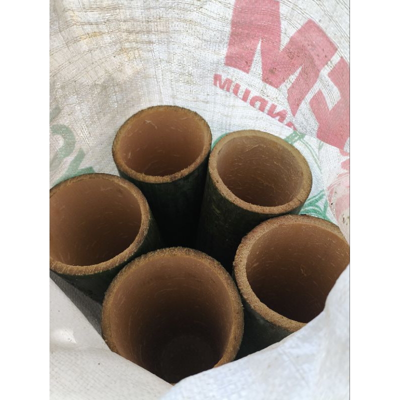 Buluh Lemang 17 inch Special | Shopee Singapore