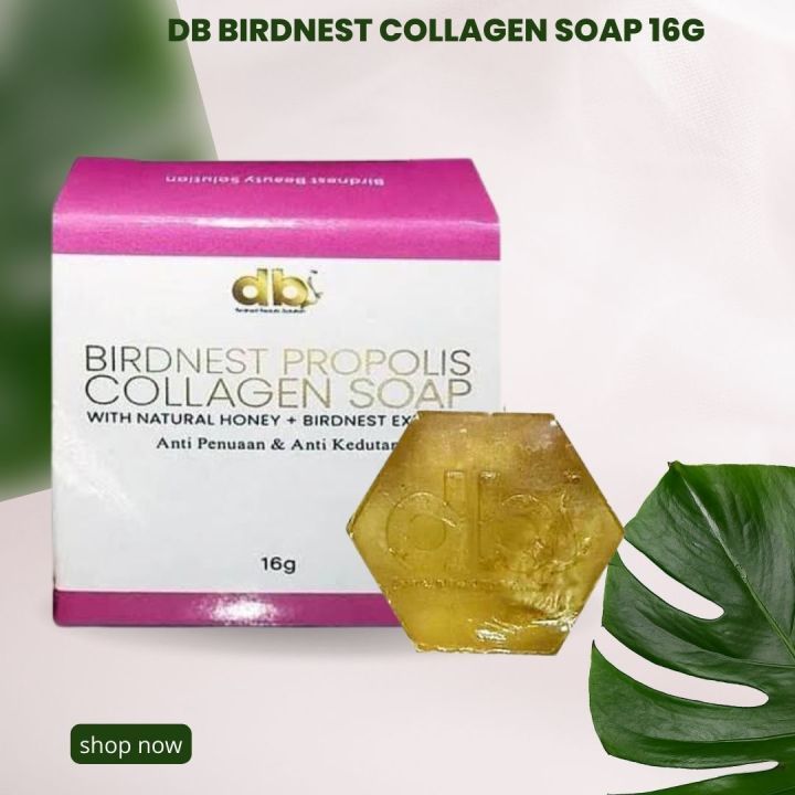 DB Birdnest Collagen Soap 16g | Shopee Singapore