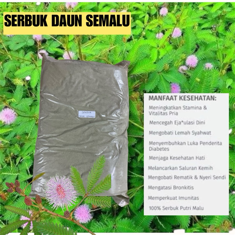 SEMALU LEAF POWDER (Mimosa pudica) 100g | Shopee Singapore