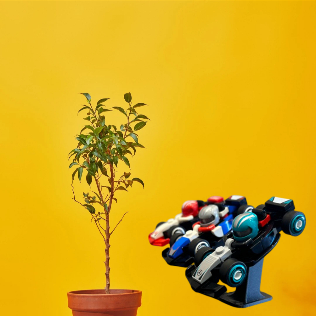 Display Stand for LEGO 71049 Minifigures F1 Collectible Race Cars Toy ...