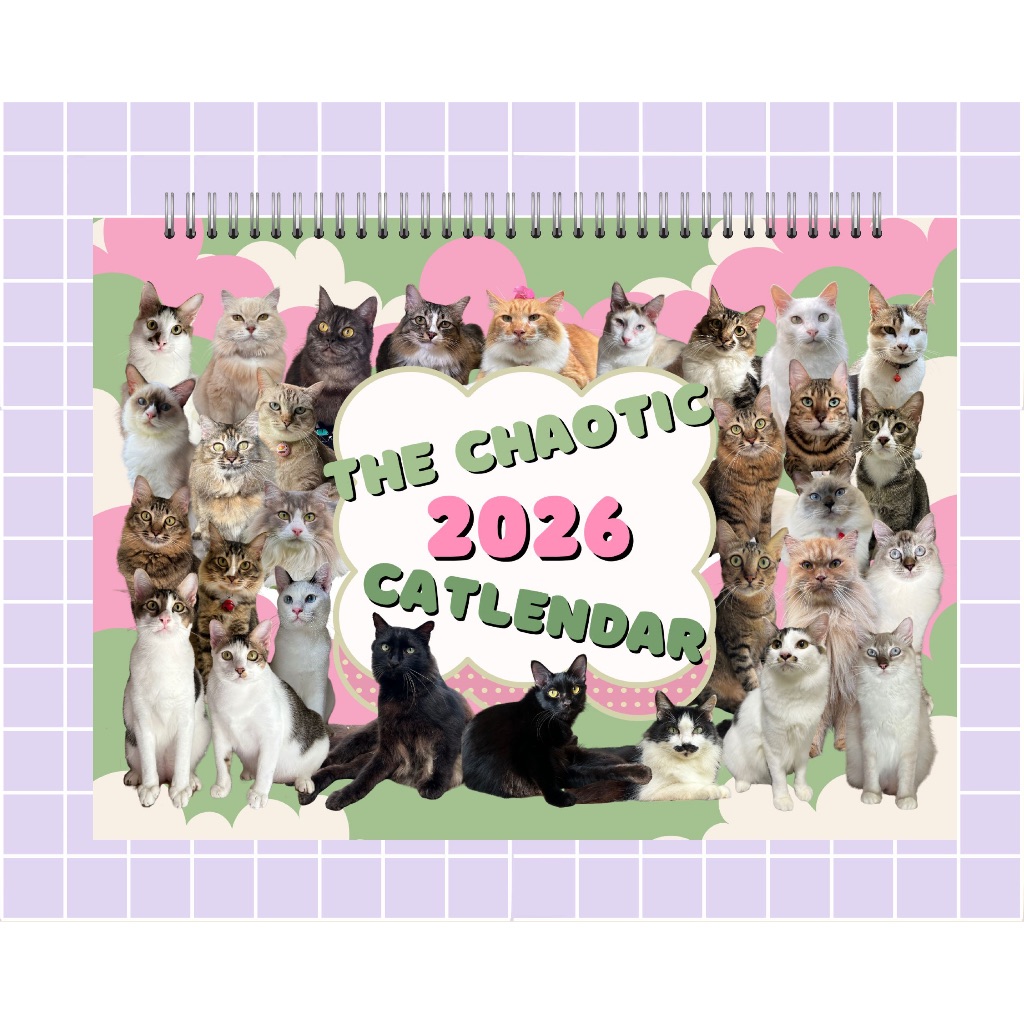 The Chaotic Cats Calendar 2026 | Shopee Singapore