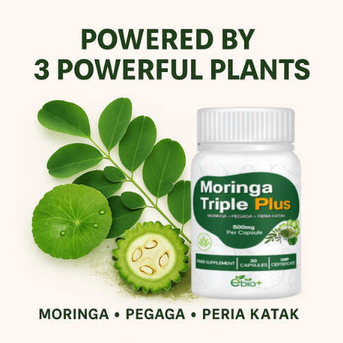 3 In 1 Moringa Triple Plus Capsules Combination Moringa + Pegaga + Frog ...