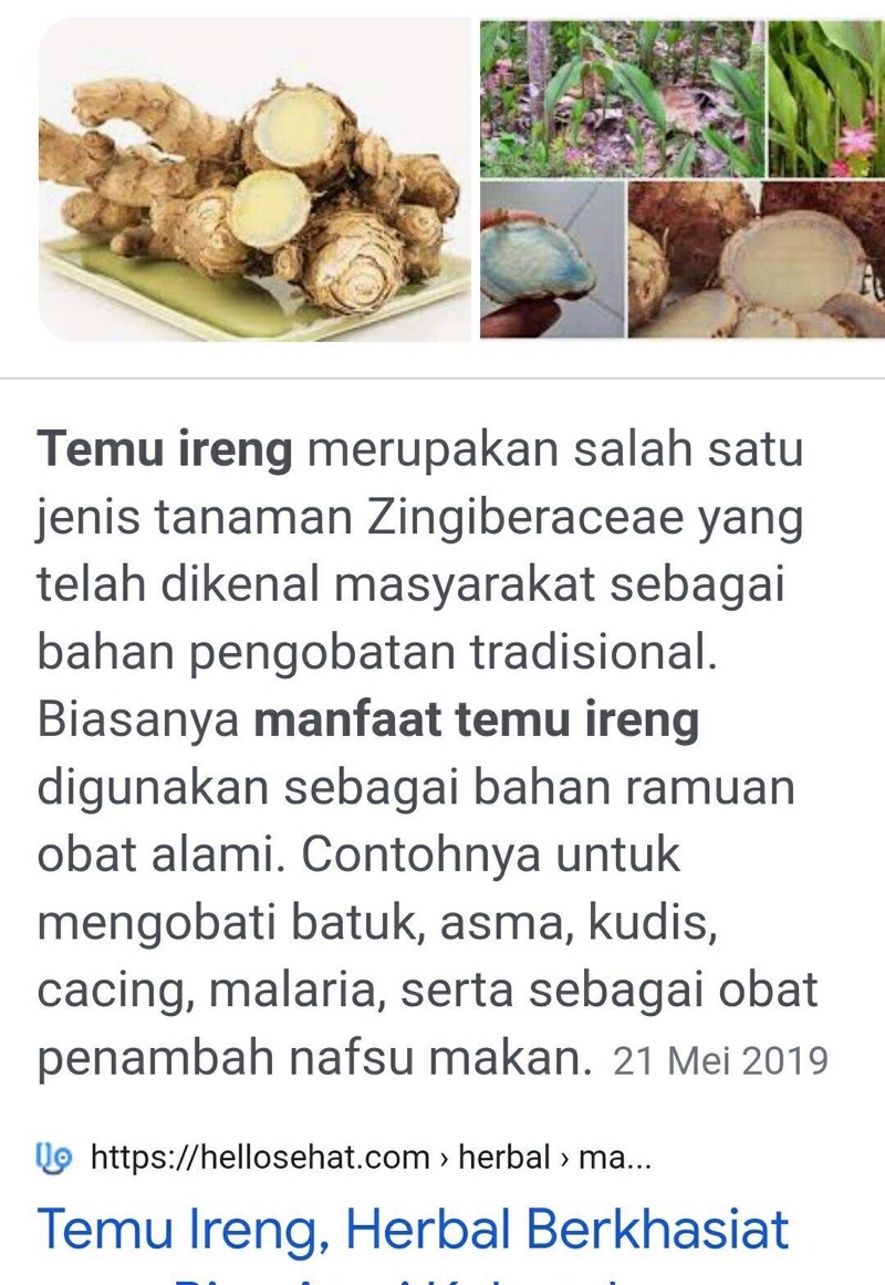 BLACK TEMU POWDER/IRENG FLOUR (100g) | Shopee Singapore