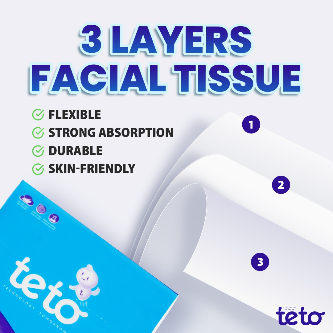 10 Pck x 300 Sheets Teto 3-Ply Soft Facial Tissue |3000 Sheets, Premium ...