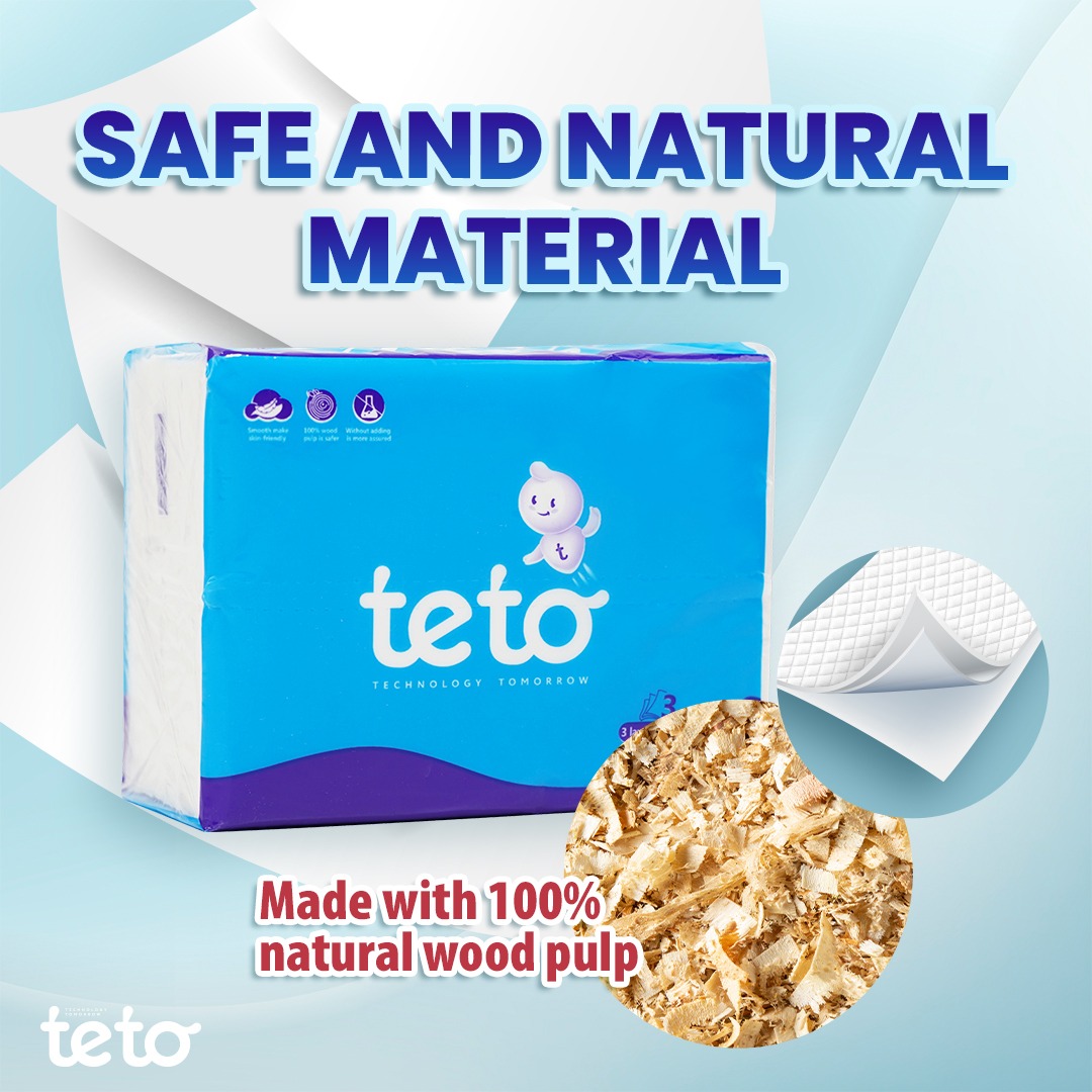10 Pck x 300 Sheets Teto 3-Ply Soft Facial Tissue |3000 Sheets, Premium ...