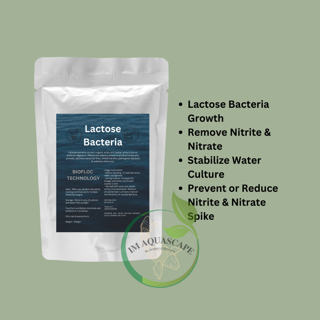 Lactose Bacteria Probiotic for Aquaculture Biofloc for Shrimp Fish ...