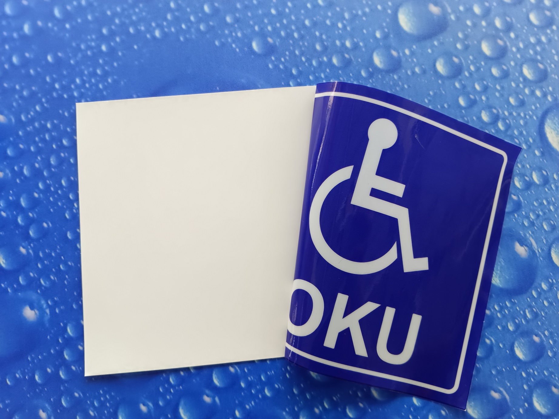 Small Size JPJ Driver Train P/OKU Sticker (2pcs) | Shopee Singapore