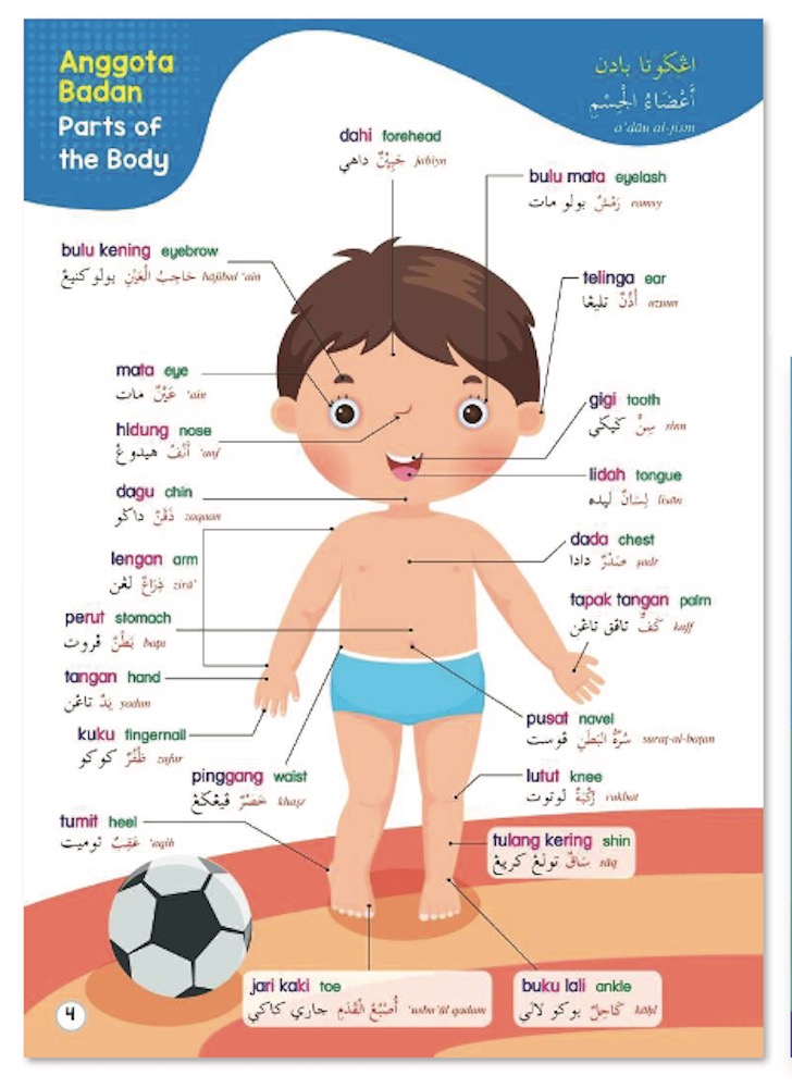 RAINBOW Illustrated Dictionary Proficient in 3 Languages with Verses BM ...