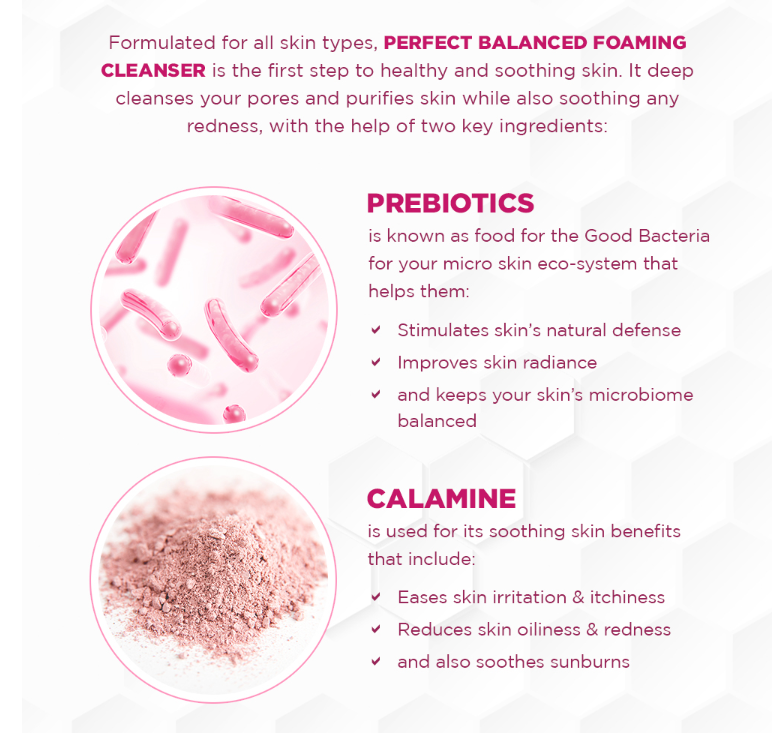 COSMODERM PERFECT BALANCE PREBIOTIC+ CALAMINE (4 TYPES) (2025) | Shopee ...