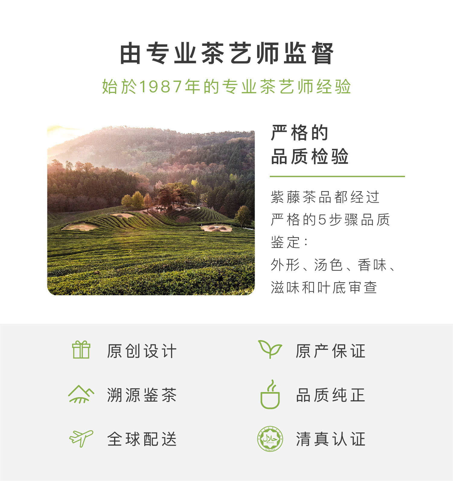 Purple Cane Yu Qian Qun Ti Varietal Long Jing Green Tea Year 2025 ...
