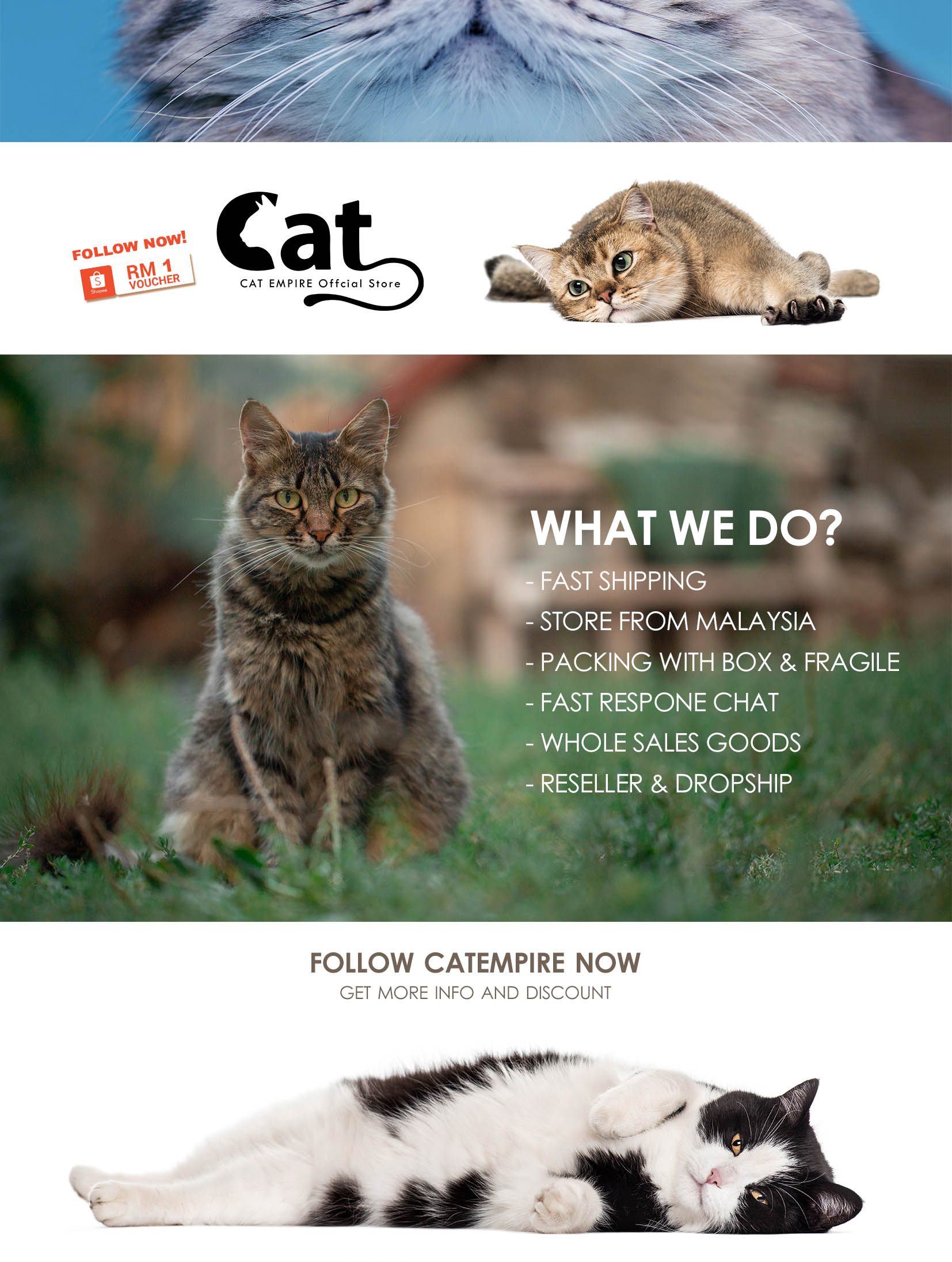 CAT EMPIRE Millet Tofu Cat Litter Elevate your cat's comfort to new ...