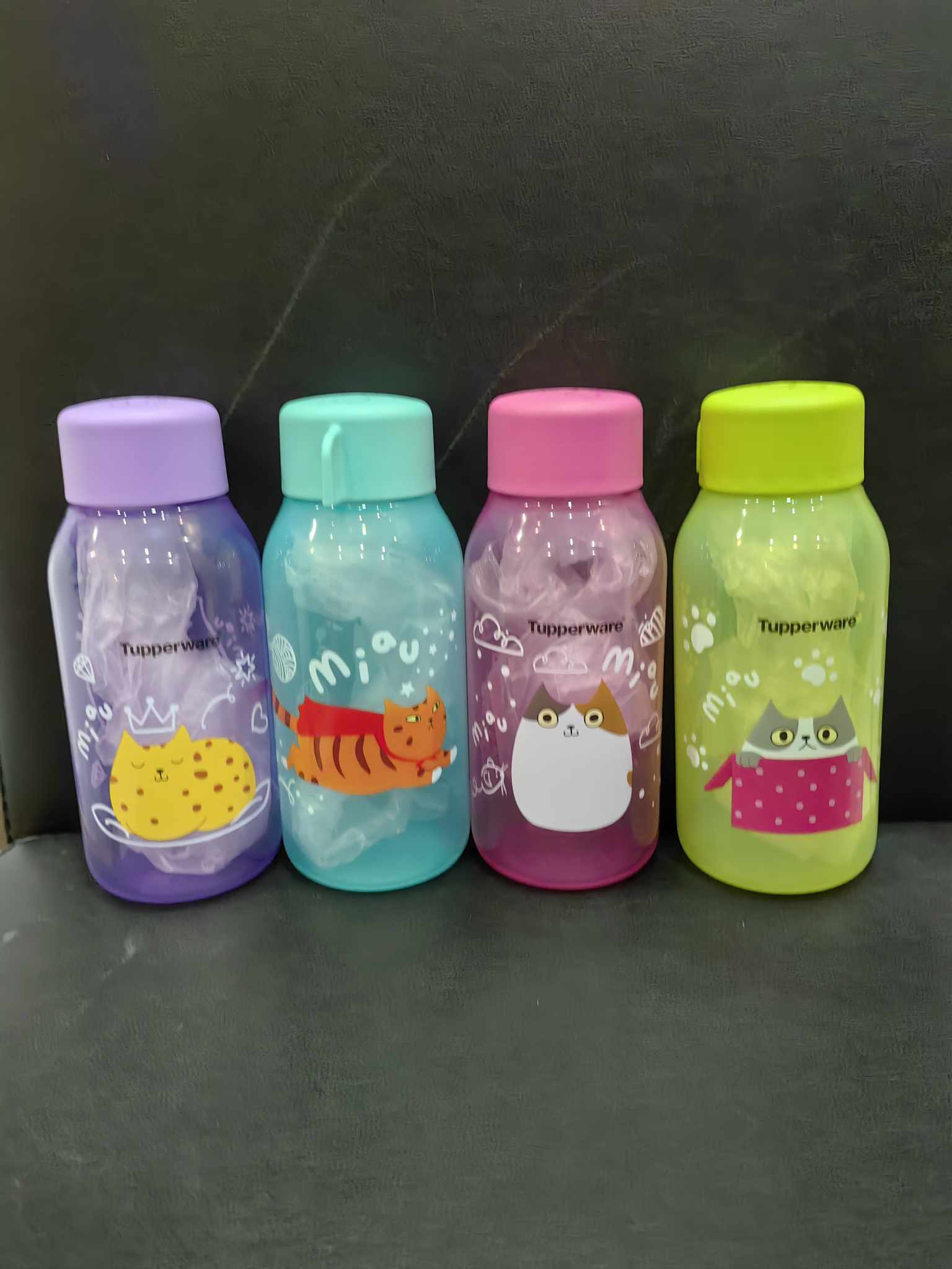 16 Jenis: Tupperware Flip Top Slim Eco Bottle 310ml /Miao Miao Kitty ...