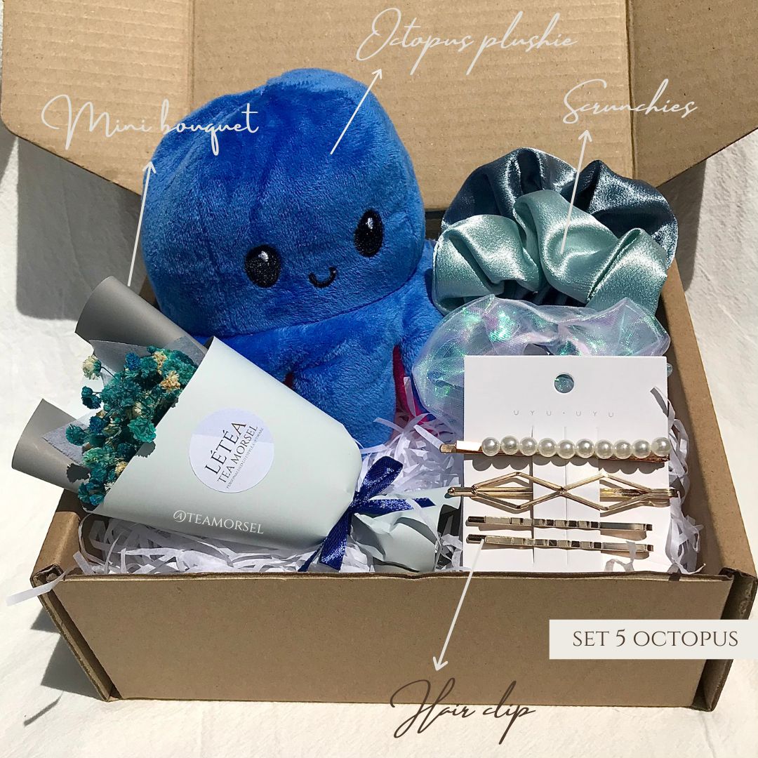 Surprise Box Octopus Plushie/Birthday/Ramadan/Friendship/Graduation ...