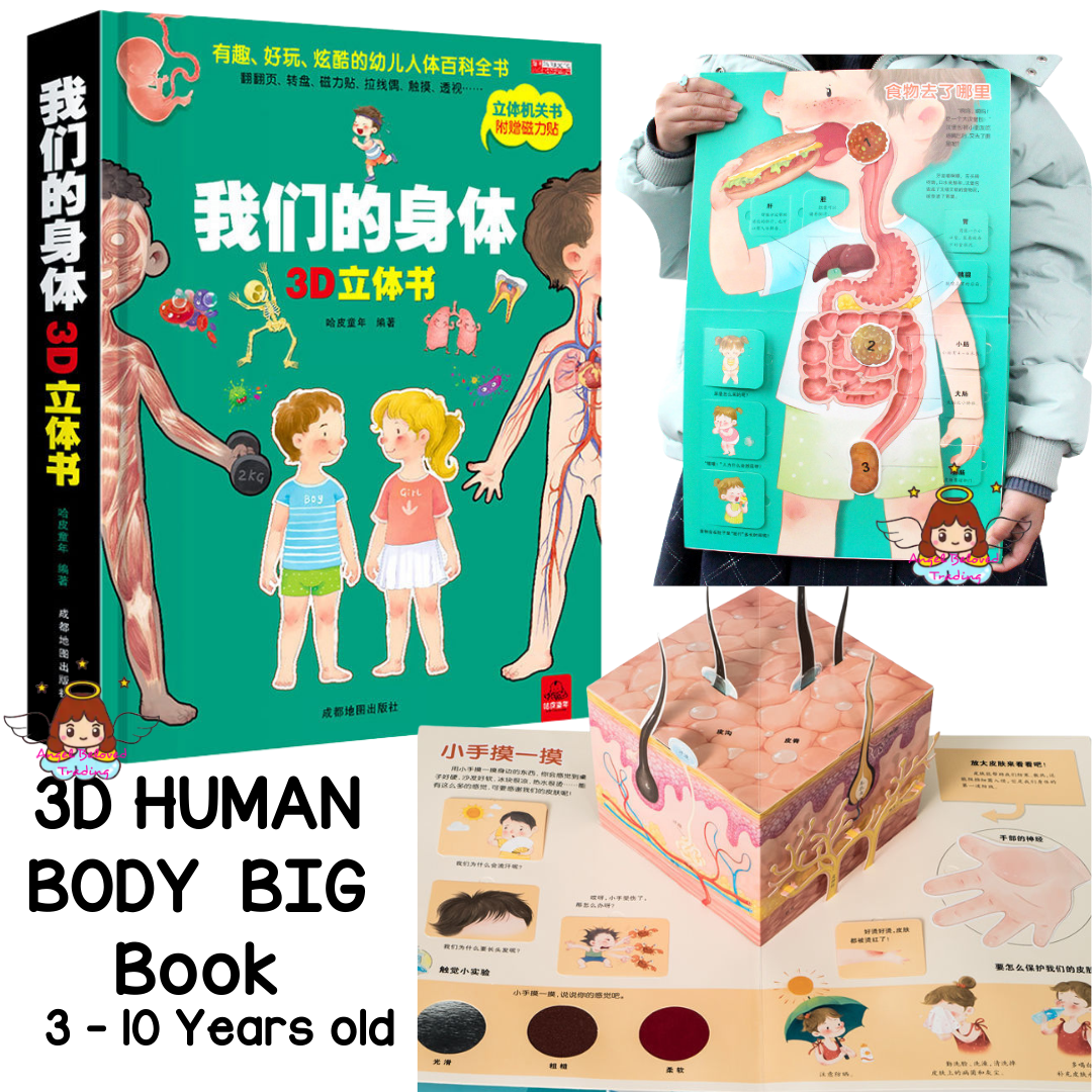 3D Children Pop-Up Book Human Body Science Mystery Hardcover Toddlers ...