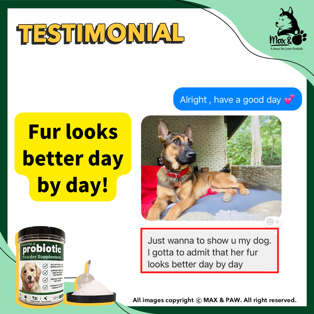 【OFFICIAL】Max & Paw Pet Supplement Dog Supplement Probiotic - All ...
