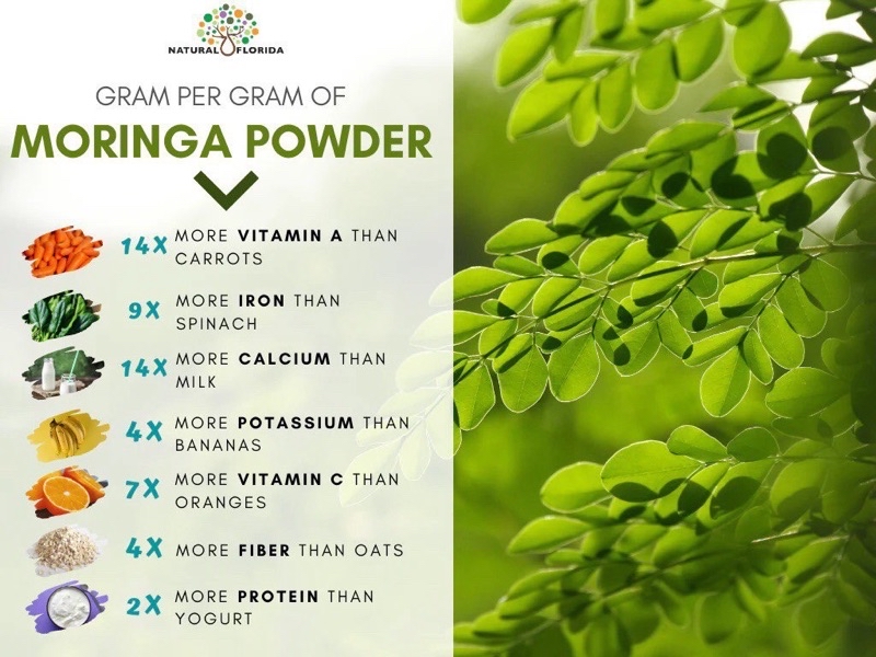 MORINGA LEAF POWDER/MORINGA POT | Shopee Singapore