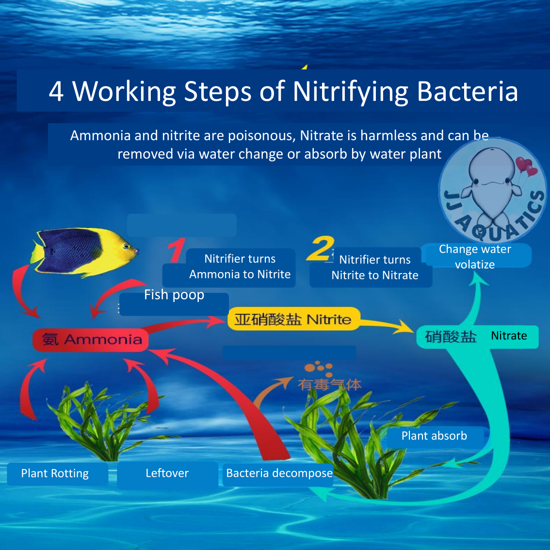 YEE Nitrifying Bacteria Nitrobacter Nitrifier for Aquarium Fish Tank ...