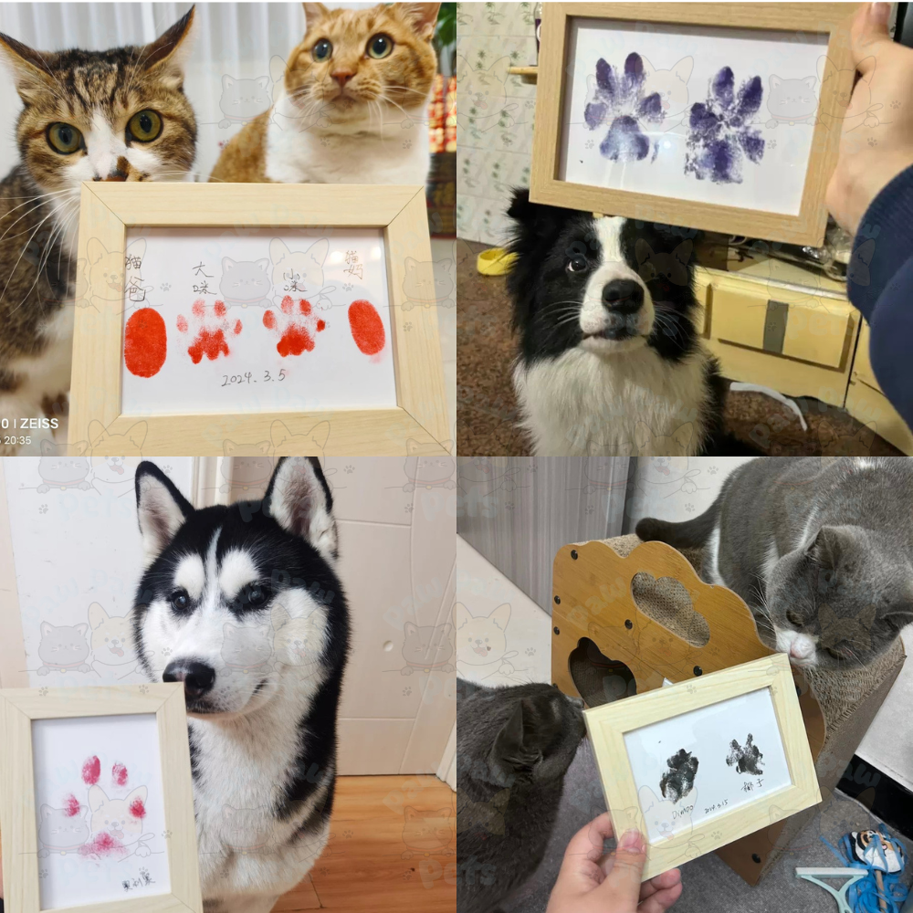 Pet Cat & Dog Paw Print Stamp Pad Ink Chop | Cat Paw Print Pieces with ...