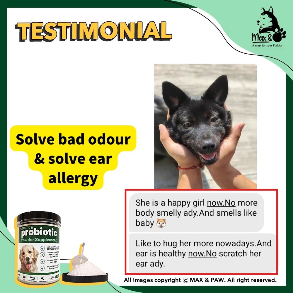 【OFFICIAL】Max & Paw Pet Supplement Dog Supplement Probiotic - All ...