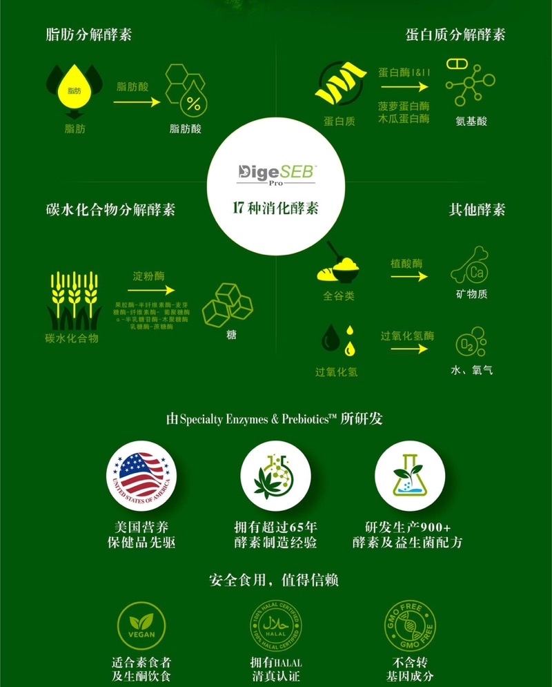 Wellous Spiro Plus Fully Upgraded Spirulina Green Algae Double Effect ...