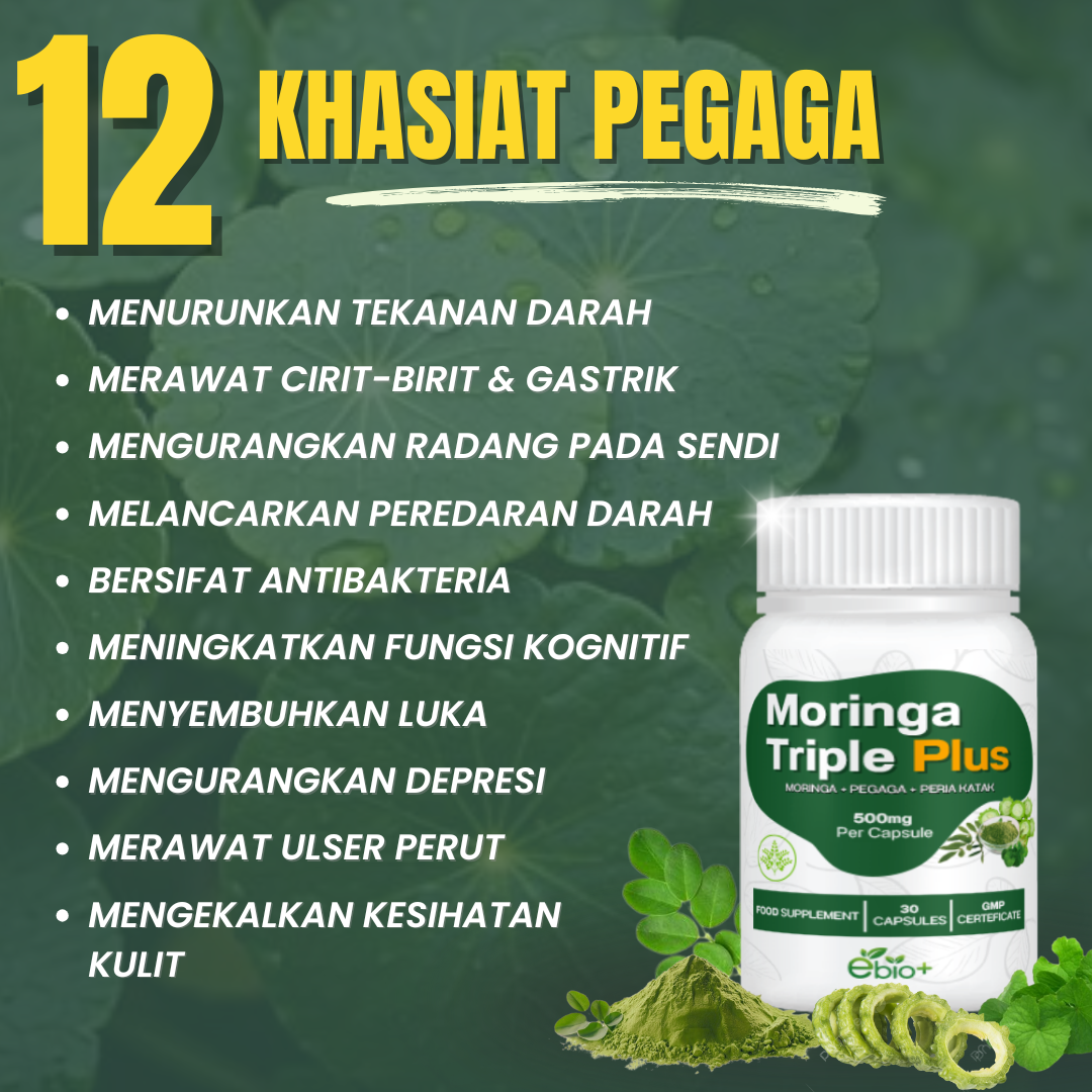 Triple Plus Moringa Capsules Combined Moringa + Pegaga + Frog Melon ...