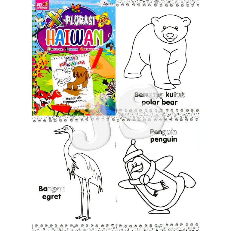 X-ploration Beetle Series | Ant Series Of Colorful Activity Book ...