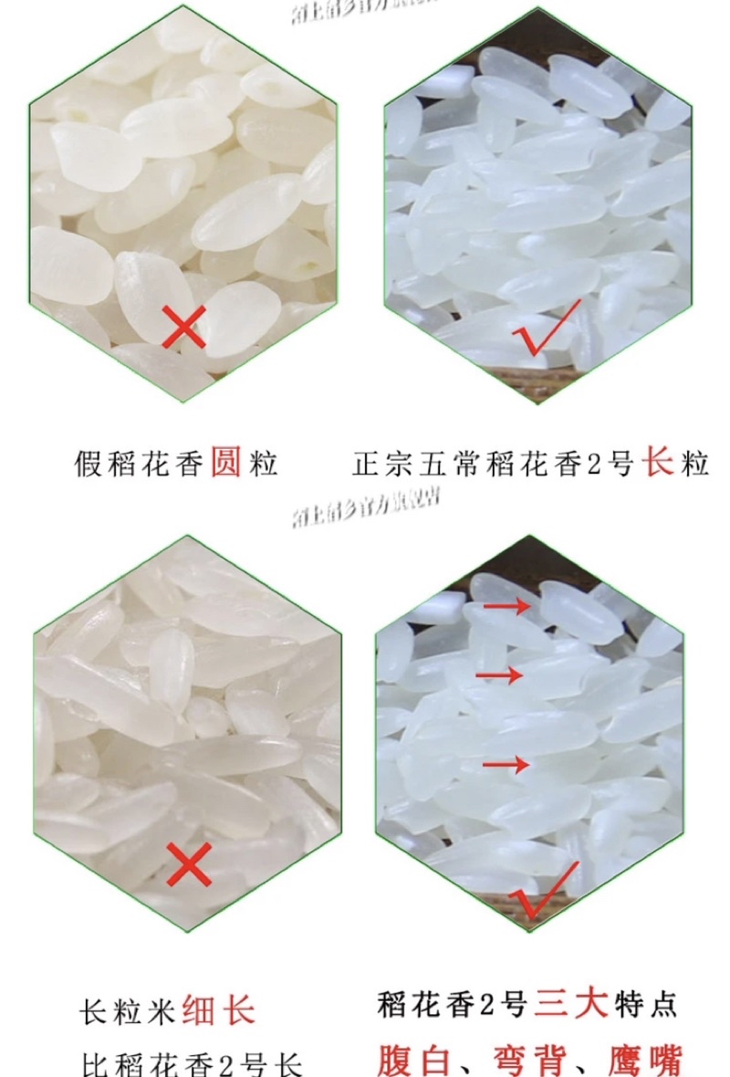 Wuchang Rice Raw Grain Northeast Rice Fragrant Rice Chinese Rice Ten ...