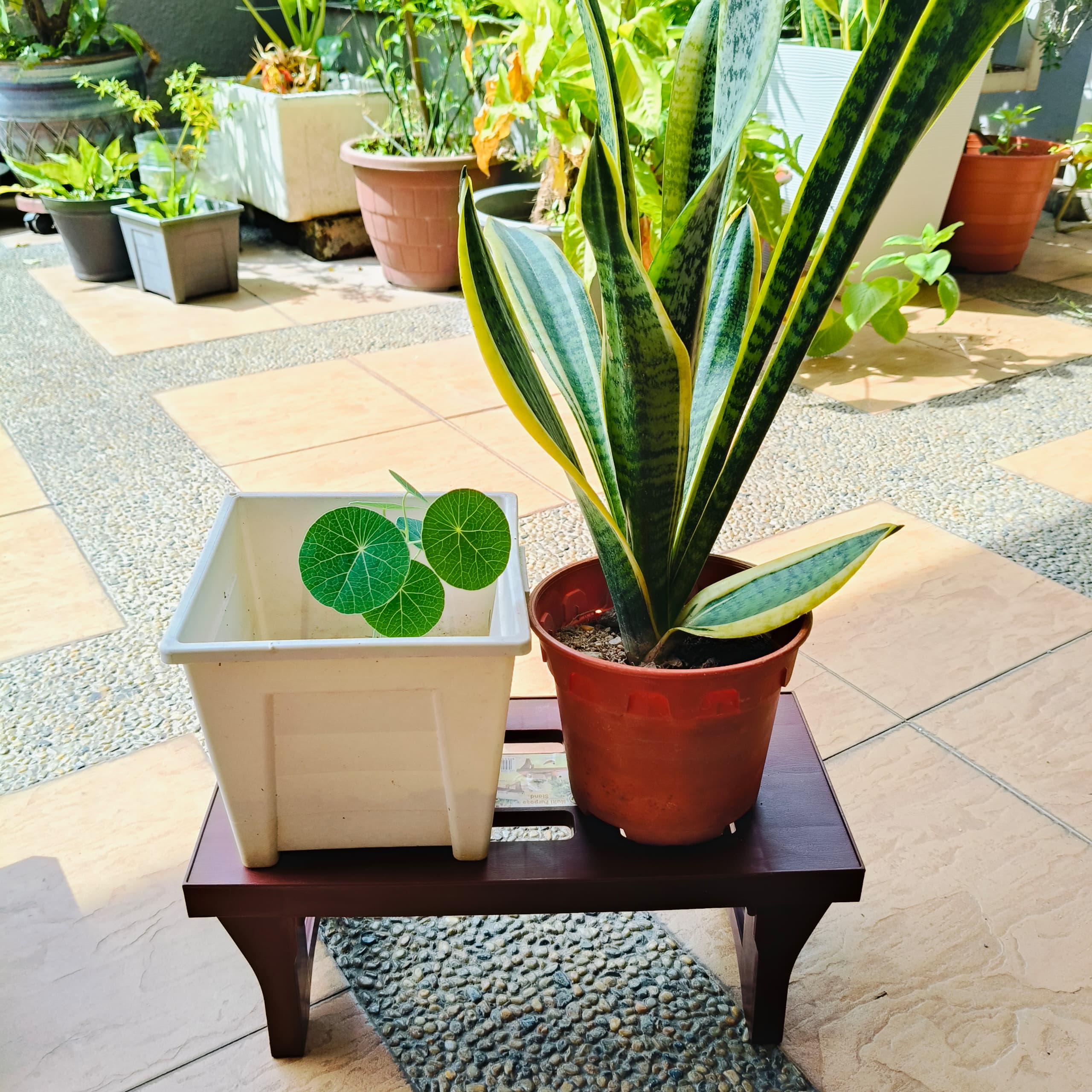 Flower Pot Stand Flower Pot Stand Plastic Flower Pot Base Garden Rack ...