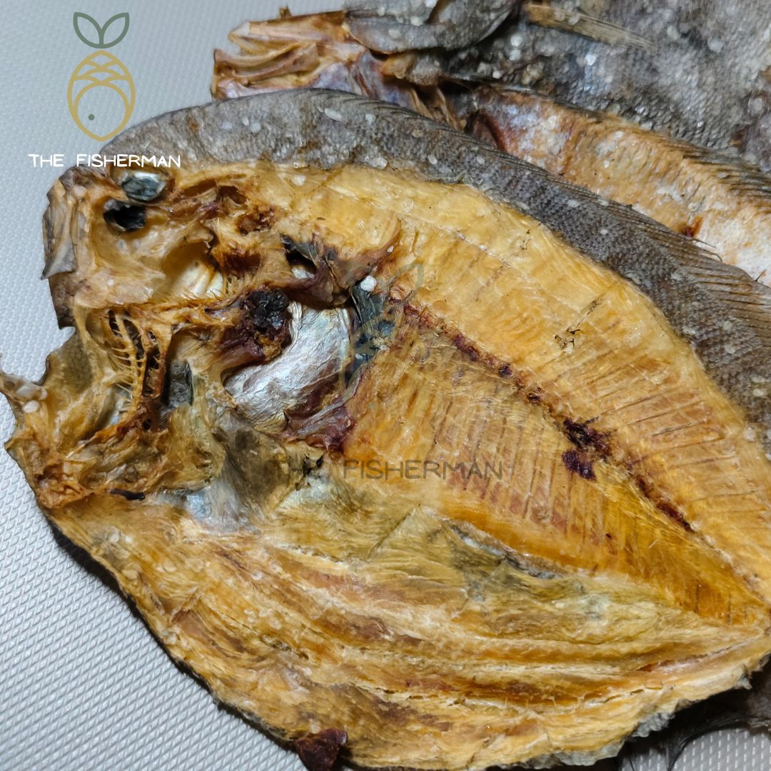Ikan Kering Halibut 2025 香港左口鱼干 大地鱼 扁鱼 比目鱼 Dried Flounder Fish Flatfish ...