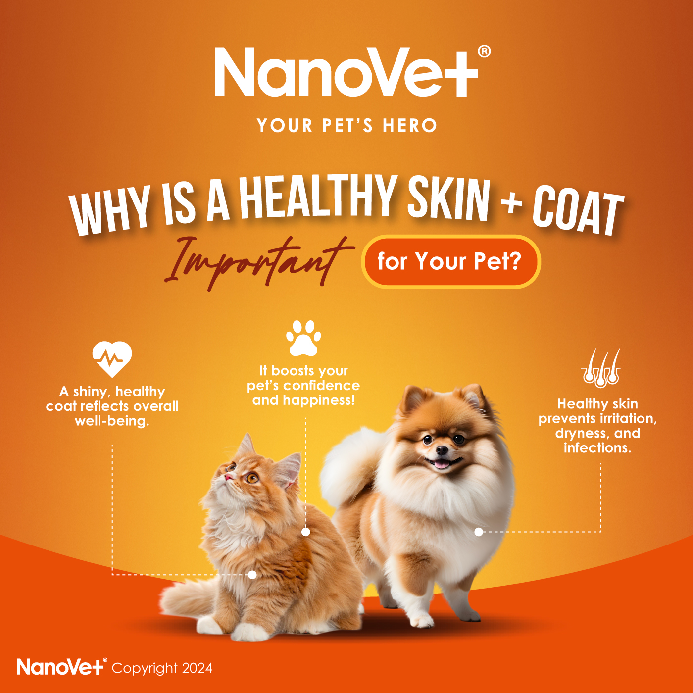 Nanovet Pet Salmon Skin + Coat Chew For Cat and Dog | Shopee Singapore
